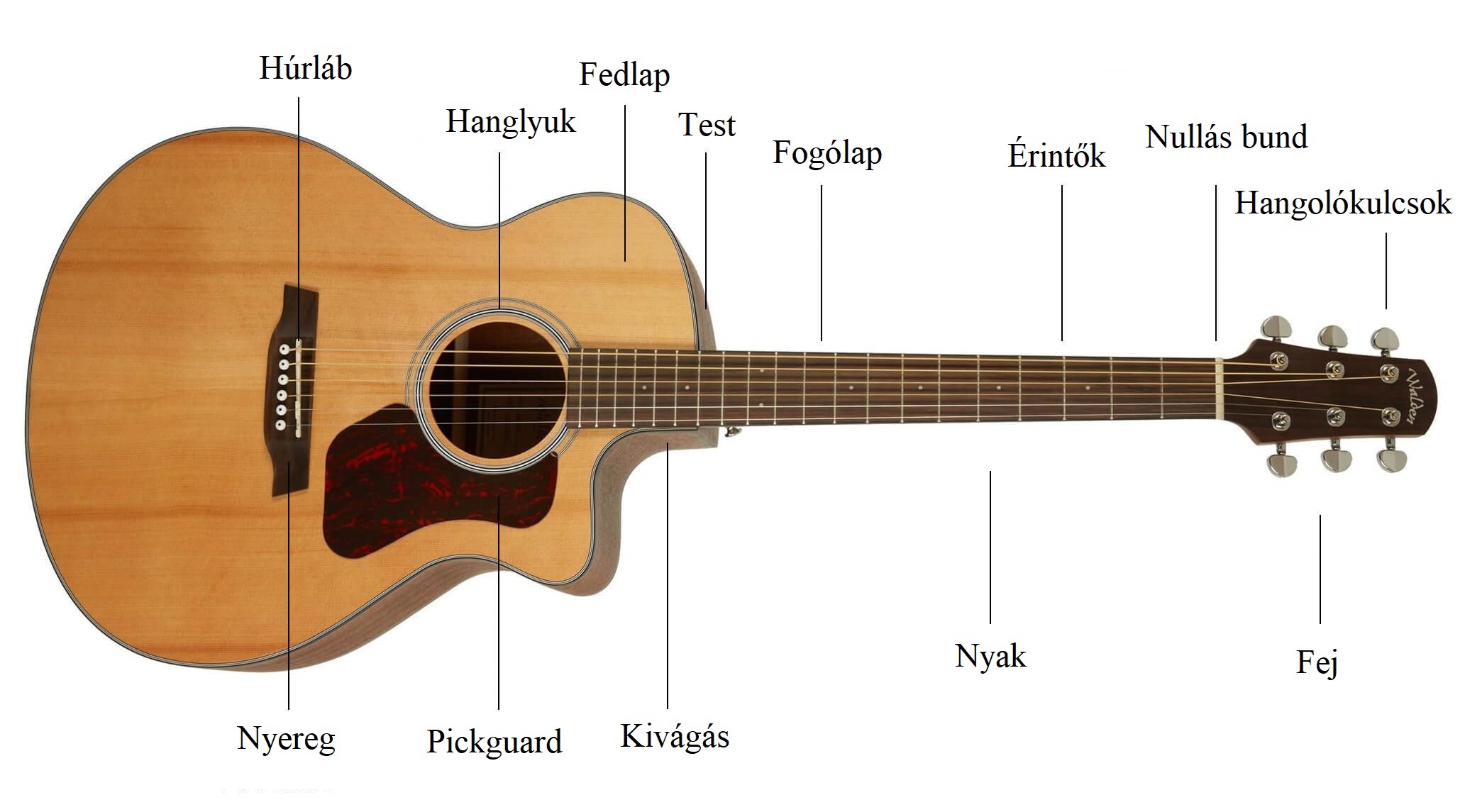 Gitár tanulás kezdőknek | Alza.hu